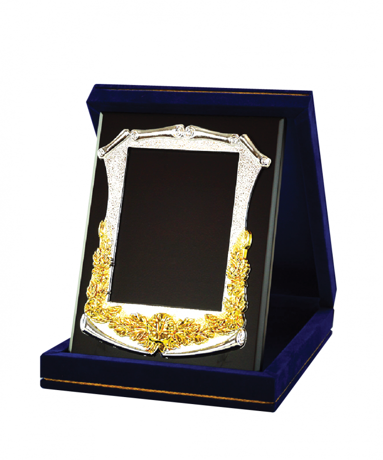 WB2202 Velvet Box Gold Silver Frame Plaque - Winmart